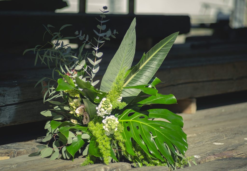 The indispensable value of cut foliage | Evanthia